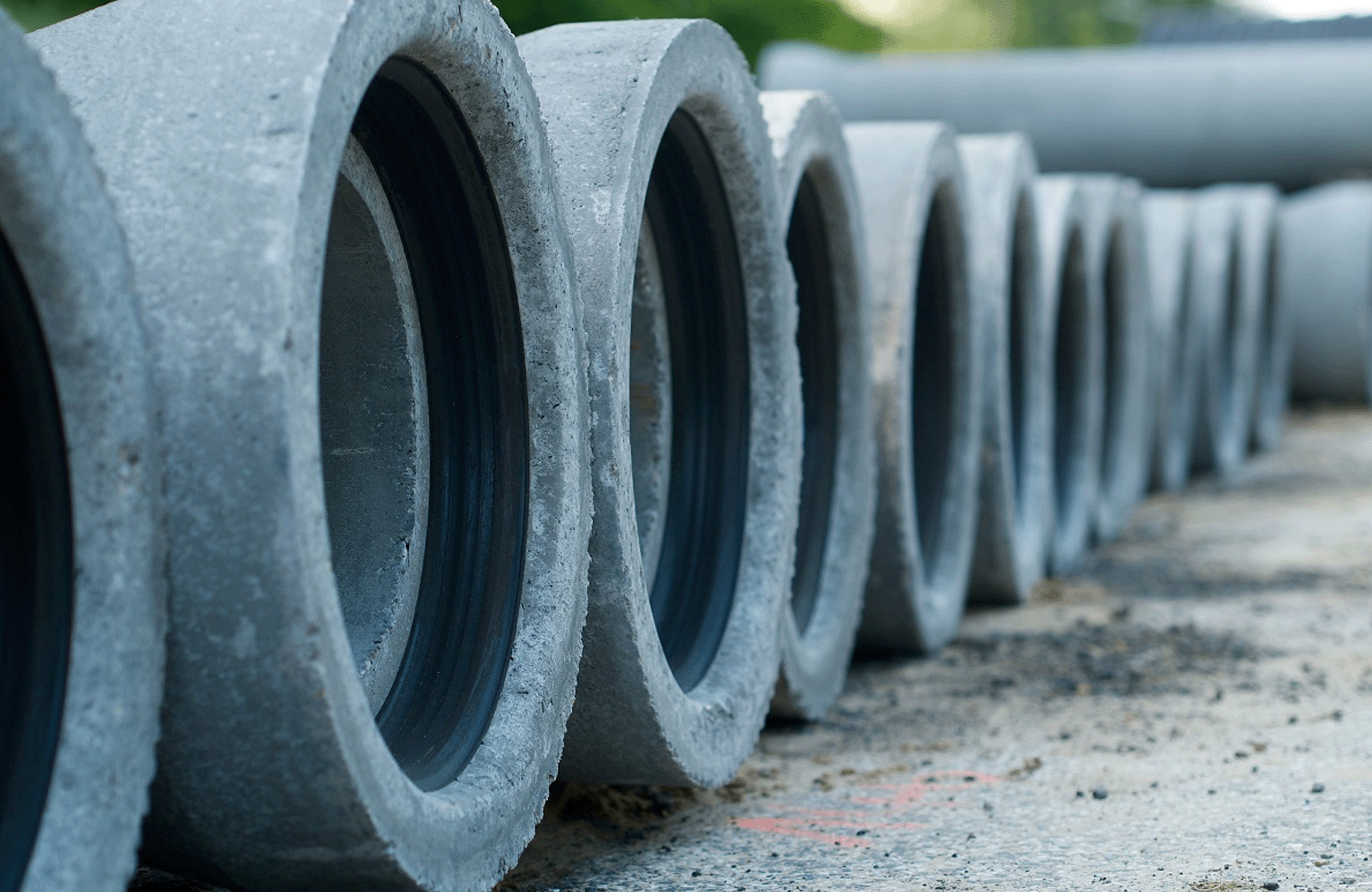 Needs Assessment for Integrated Asset Management