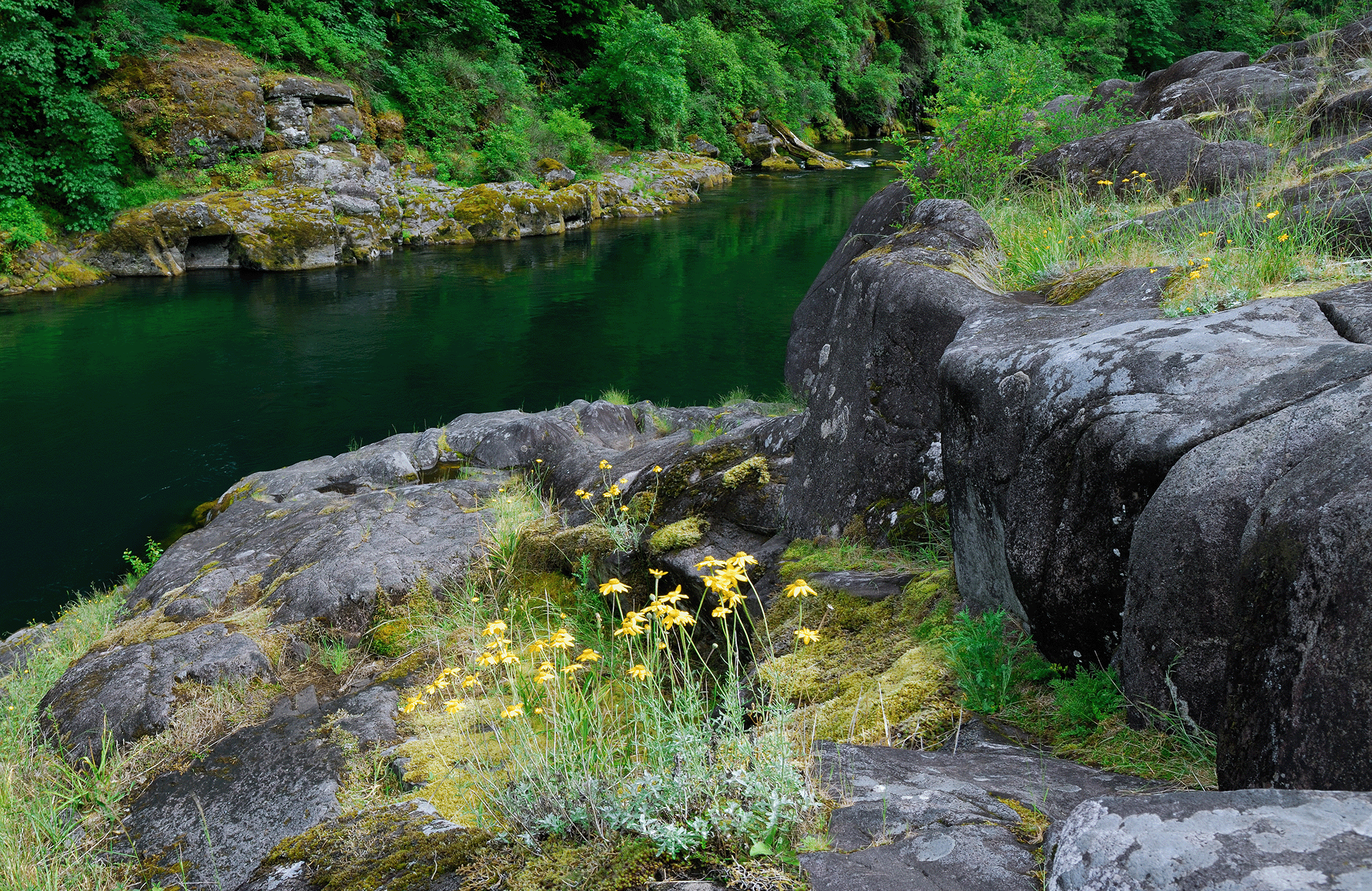 North Santiam Canyon Regional Wastewater Analysis and Land Inventory